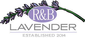 Lavender Field Visit - R&B Lavender
